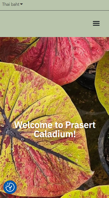 Homepage - prasertcaladium